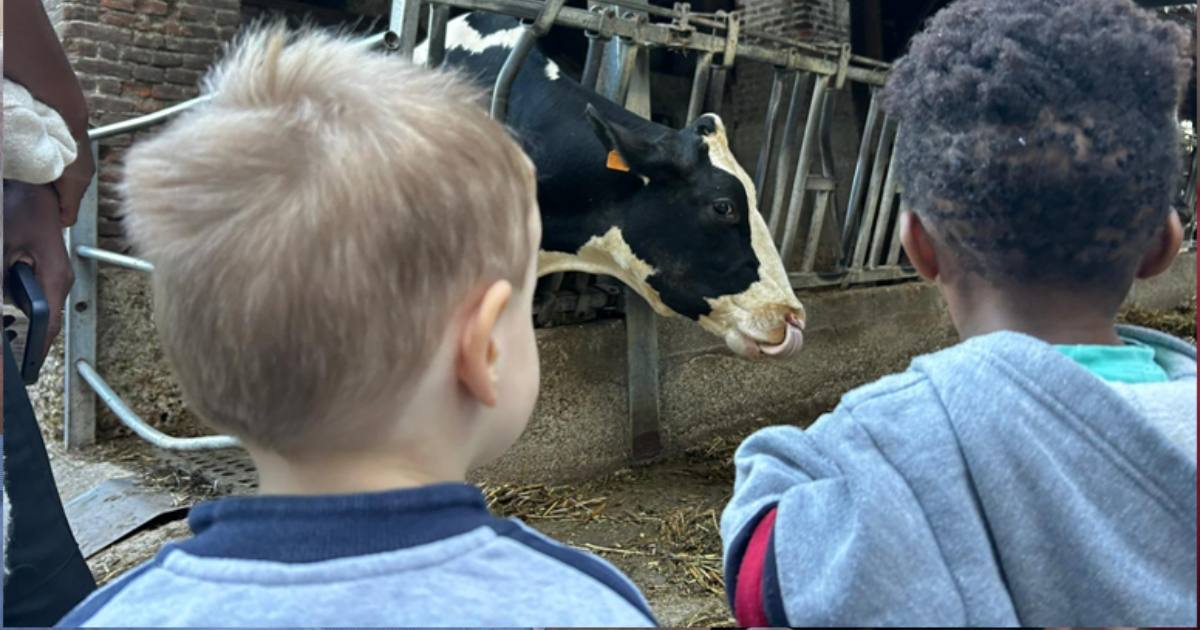 Il sabato in fattoria delle comunità mamma-bambino